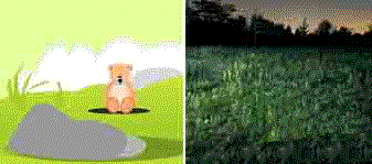 What resolution should my file be? – Optamark Printing & Marketing Corp